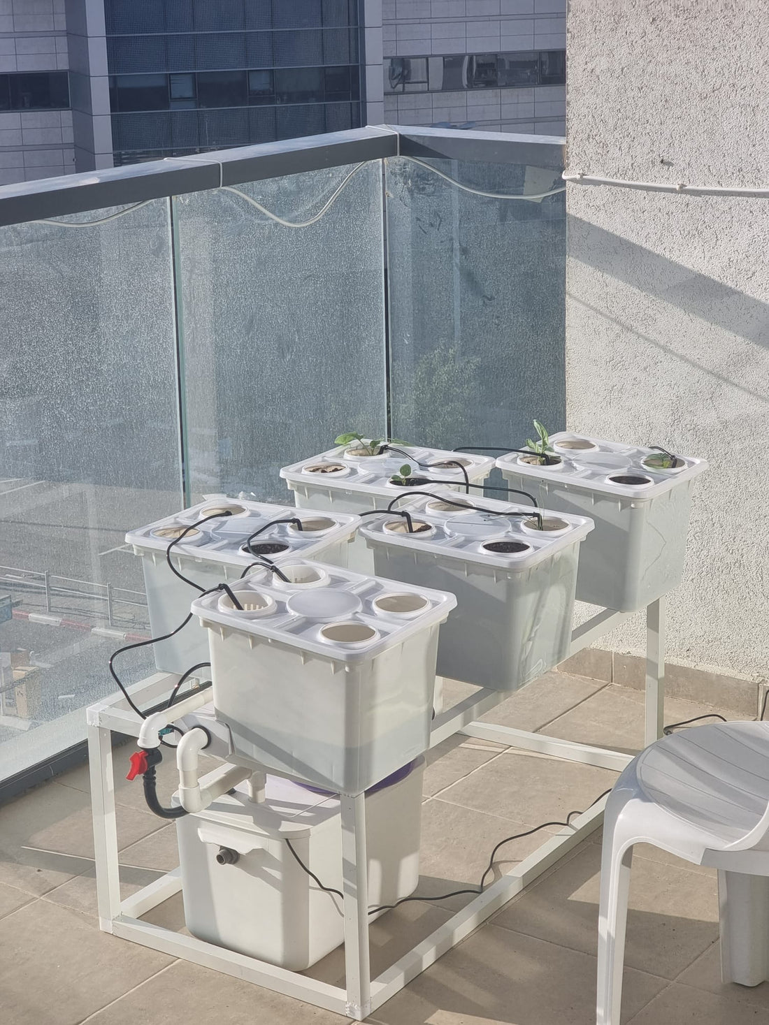 Tobato 5 – Dutch Bucket Hydroponic Growing System – NatureTech USA