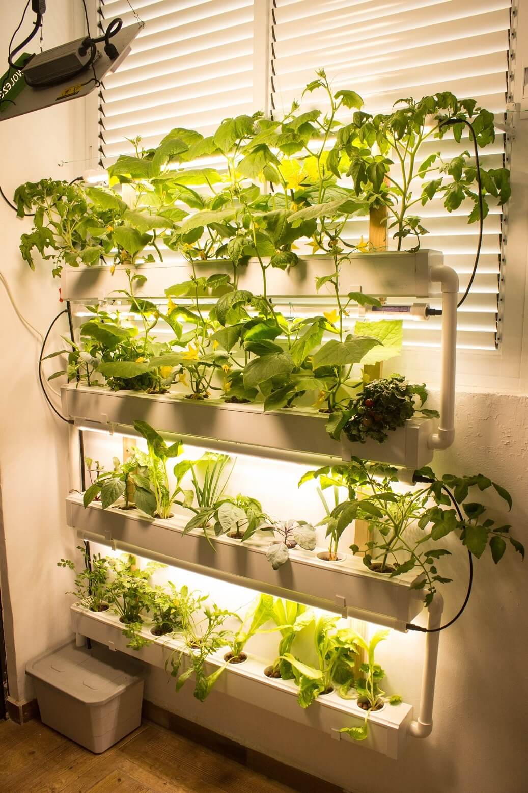 Wally 32 Grow light kit 4000K+HR – Nature Tech